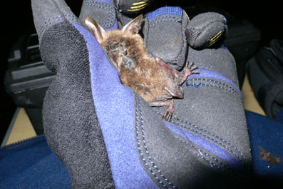 Non Commercial Research